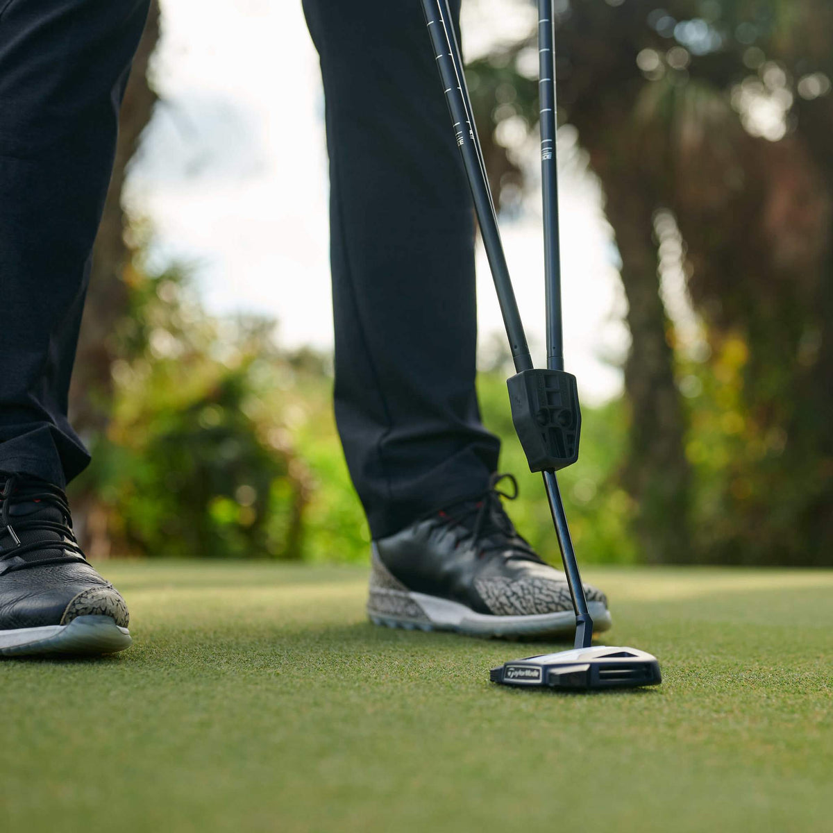 True Pendulum Motion / TPM – Perfect Practice Canada